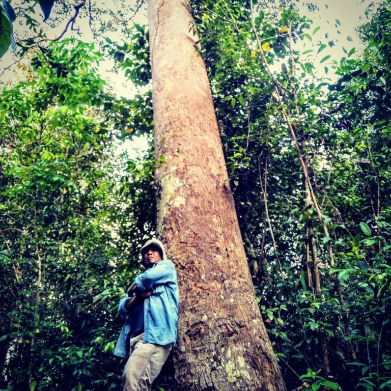 Pentingnya Informasi Peta dalam Perencanaan Tata Ruang dan Tata Kelola ...